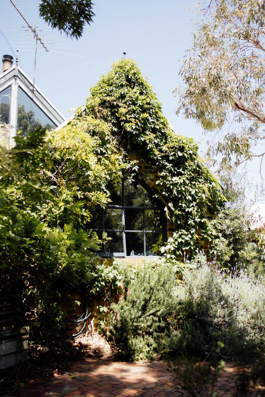 Em & Lawrence Sneak Previews, Merne at Lighthouse - www.wildheartphoto ...