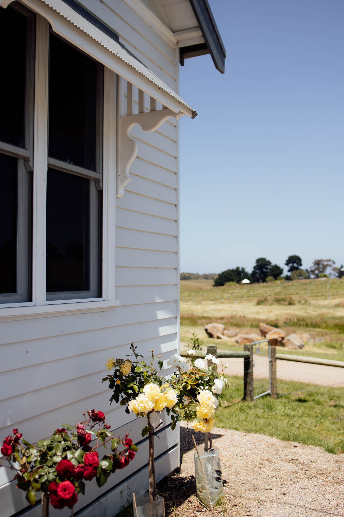 Em & Lawrence Sneak Previews, Merne at Lighthouse - www.wildheartphoto ...