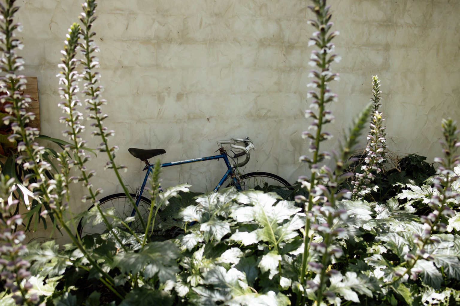 Em & Lawrence Sneak Previews, Merne at Lighthouse - www.wildheartphoto ...