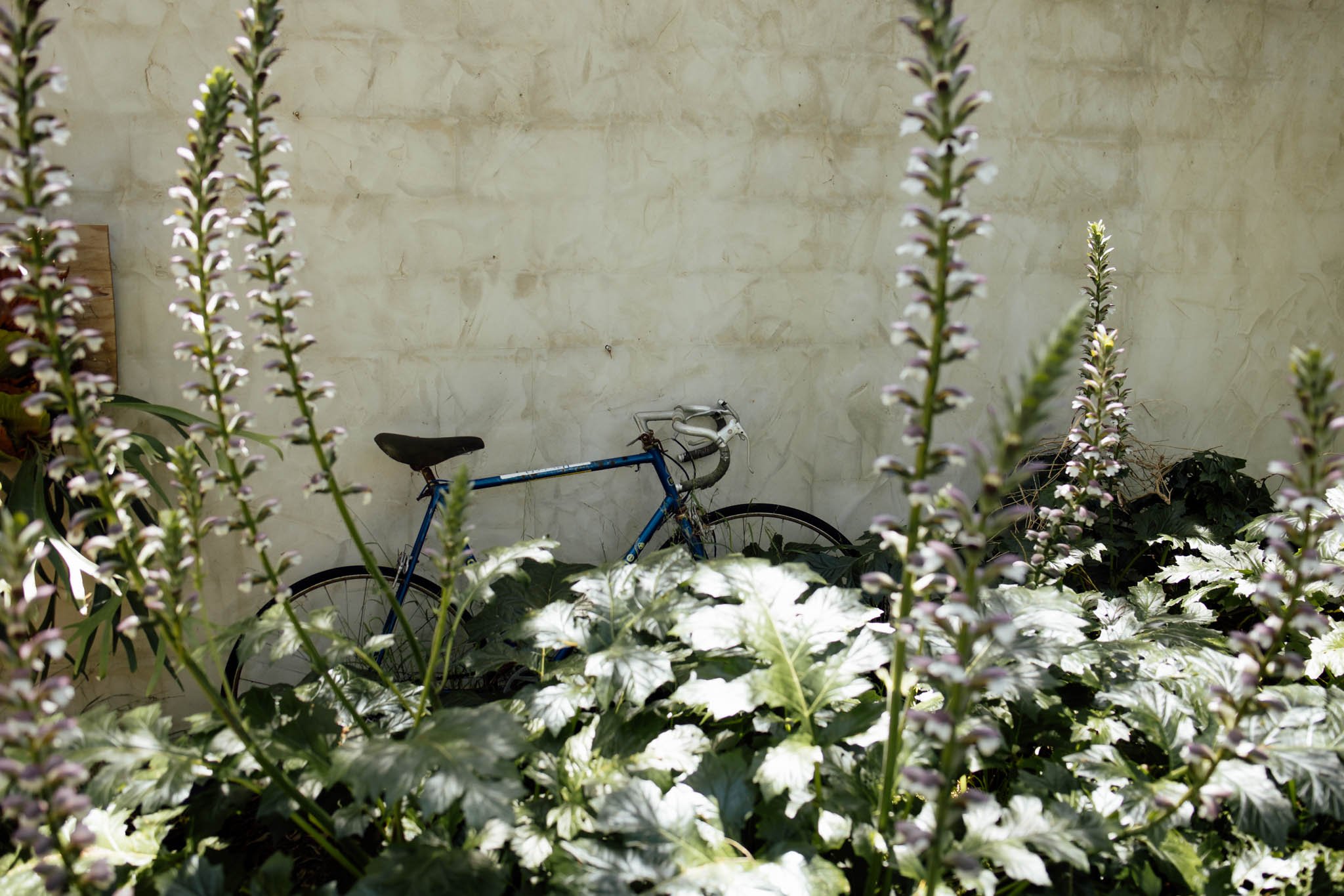 Em & Lawrence Sneak Previews, Merne at Lighthouse - www.wildheartphoto ...