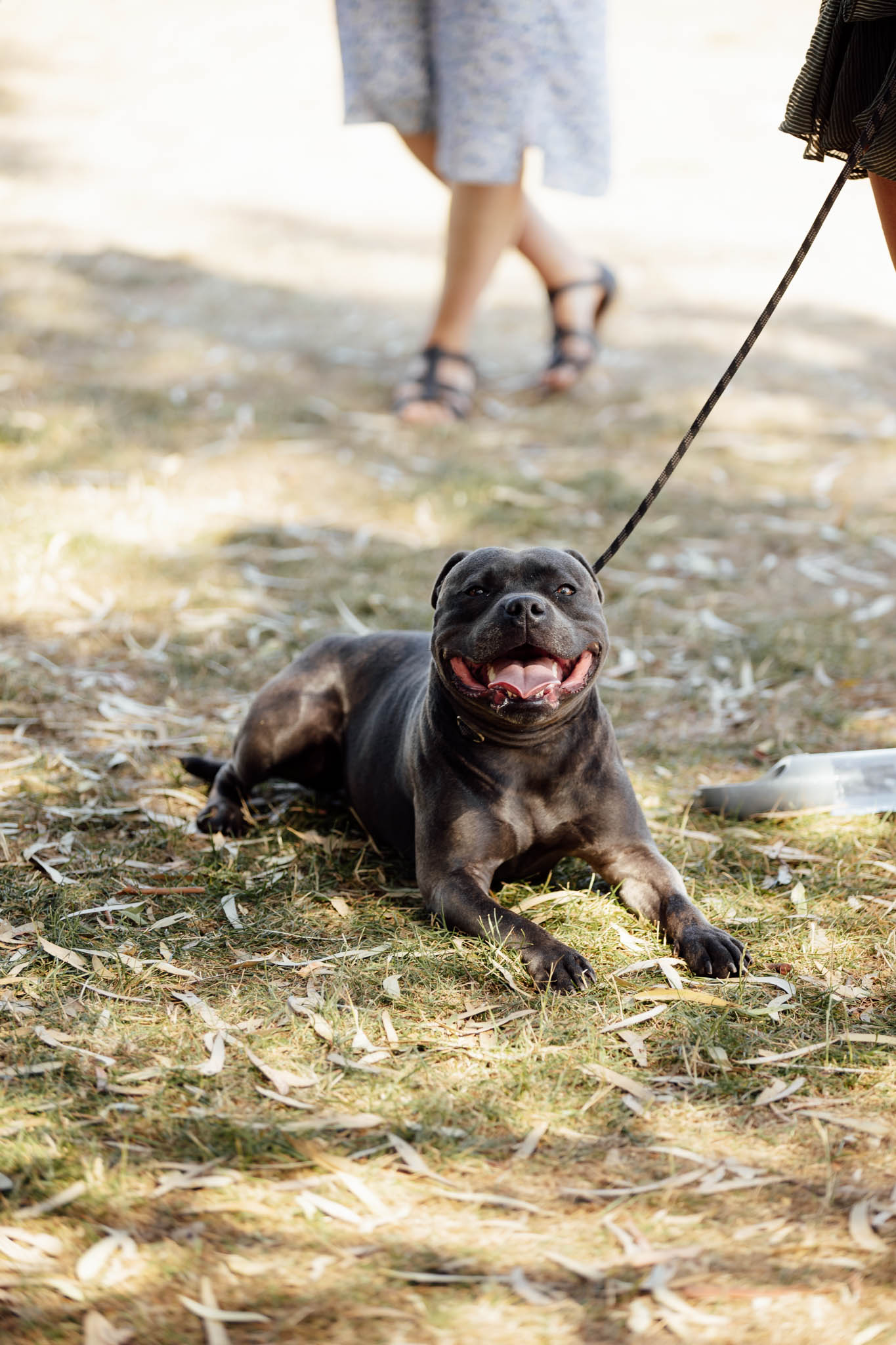 Annabelle & Shaun Sneak Previews - Rocklea Farm Wedding - www ...