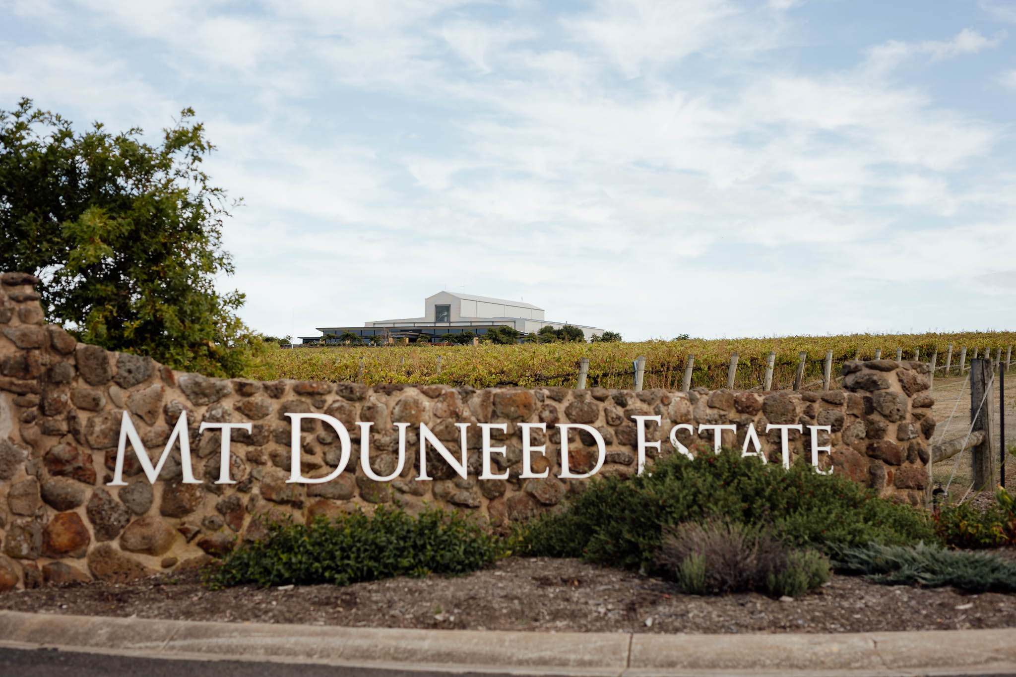 Madi & Bill Previews - Mt Duneed Estate - www.wildheartphoto.com.au