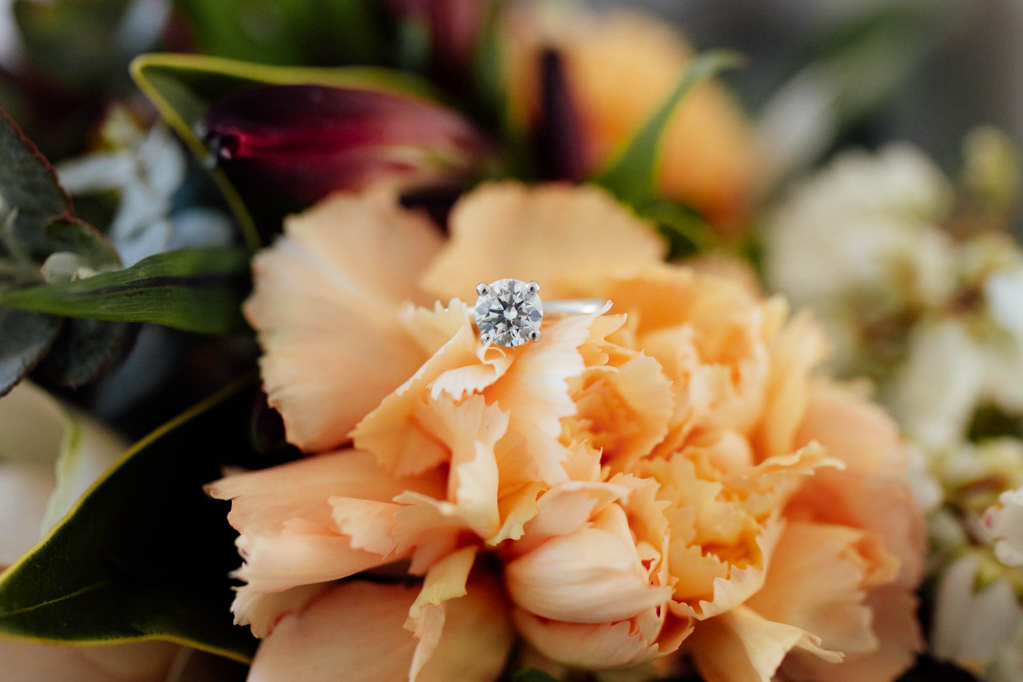 Jess & Dion Sneak Previews - Mt Duneed Estate Wedding - www.wildheartphoto.com.au